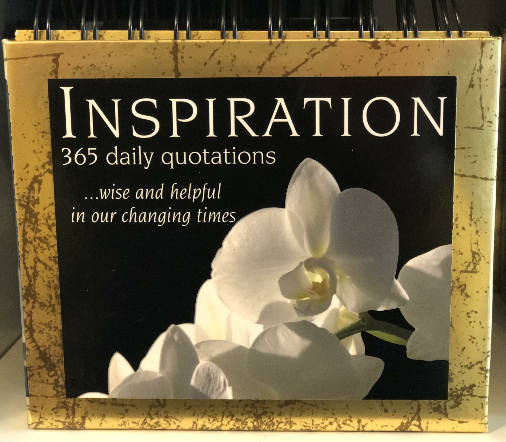 365 Inspiration - D and M Garden Centre