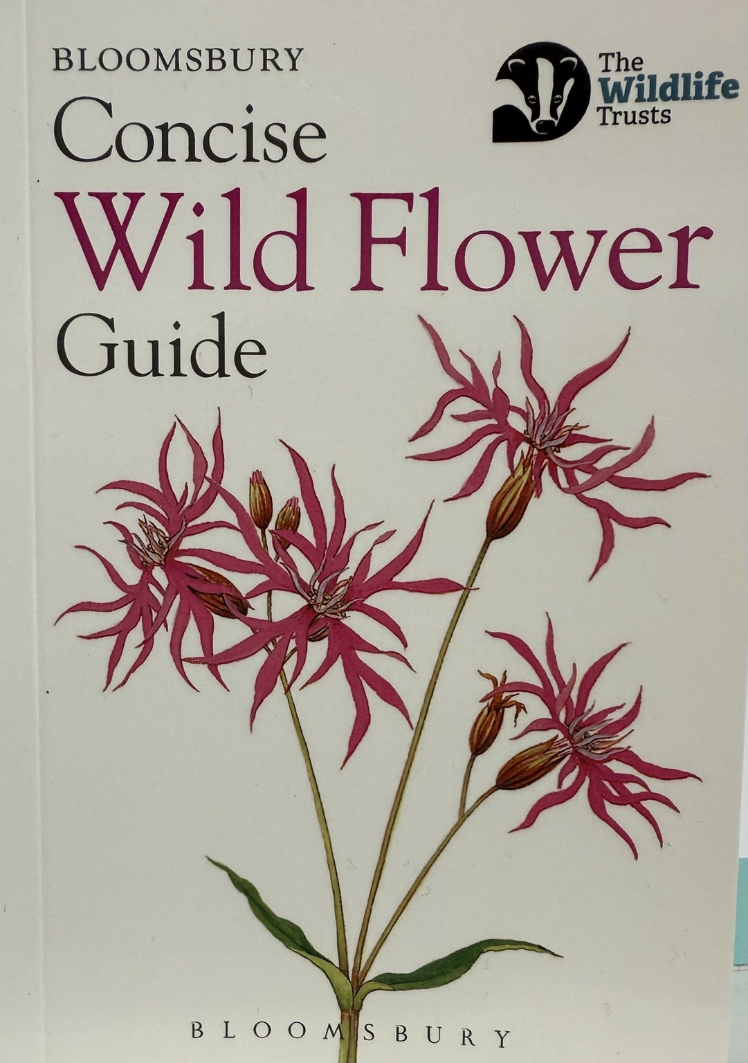 Concise wild Flower Guide - D and M Garden Centre