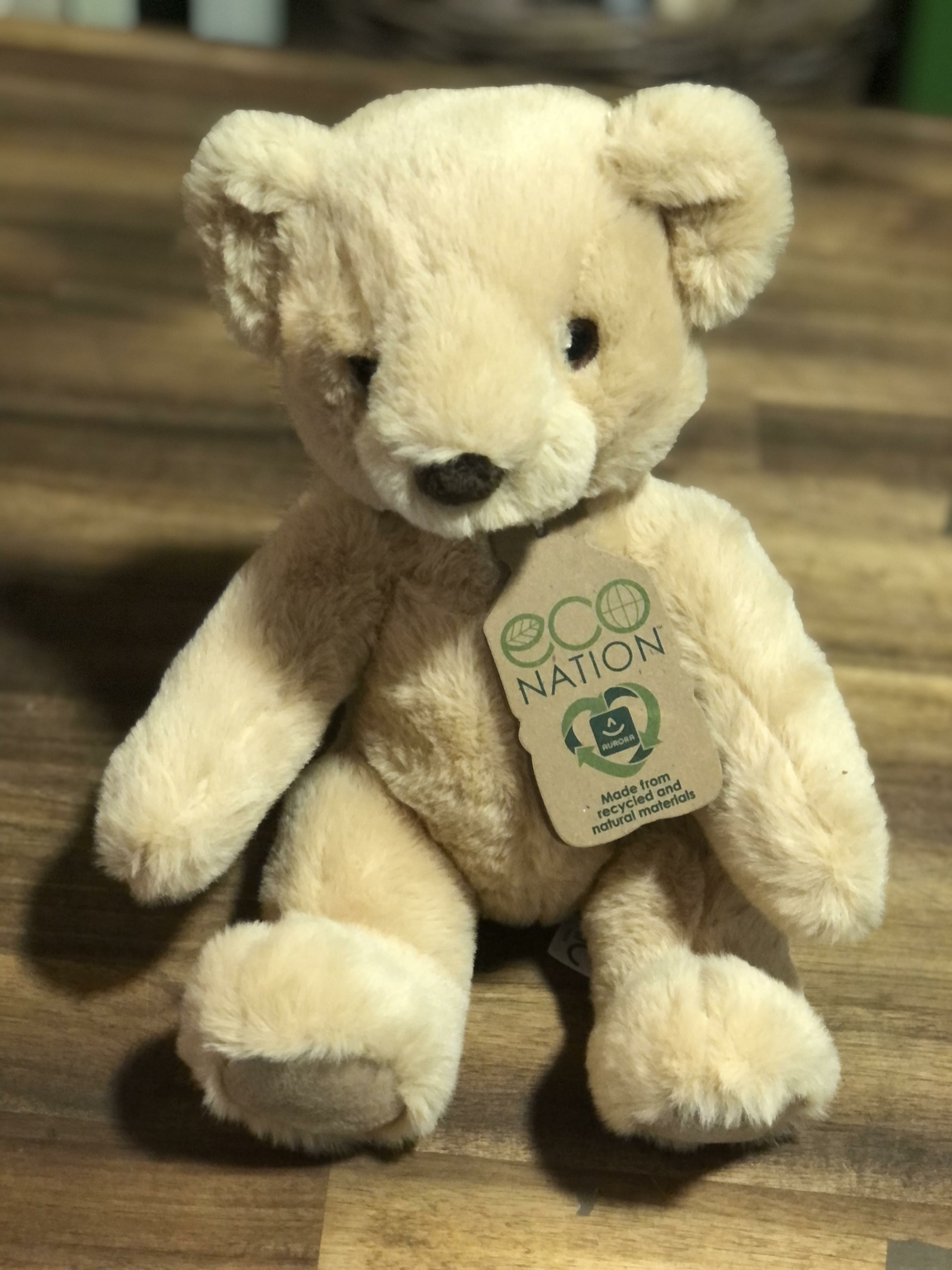 Eco Nation Teddy Bear - D and M Garden Centre