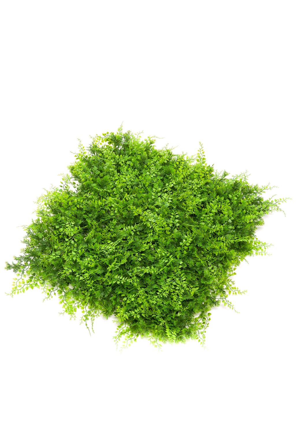 Fern/juniperus mix mat weather resi - D and M Garden Centre