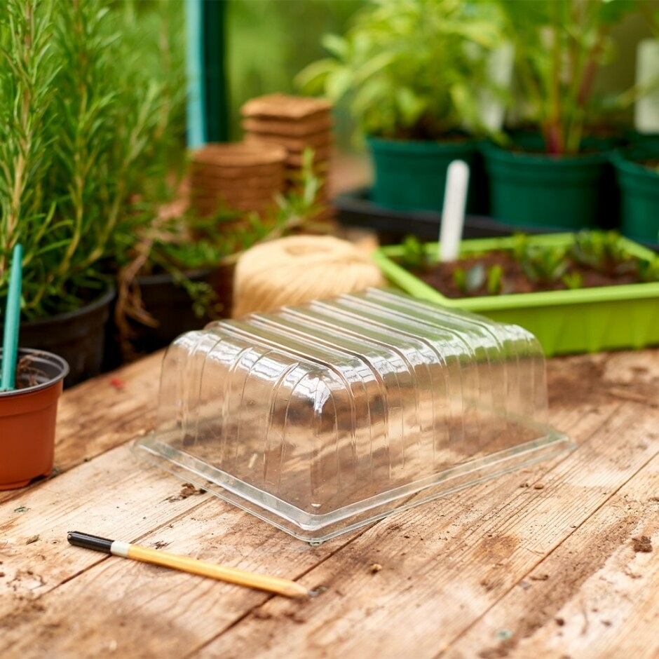 Half Seed Tray Lid - D and M Garden Centre