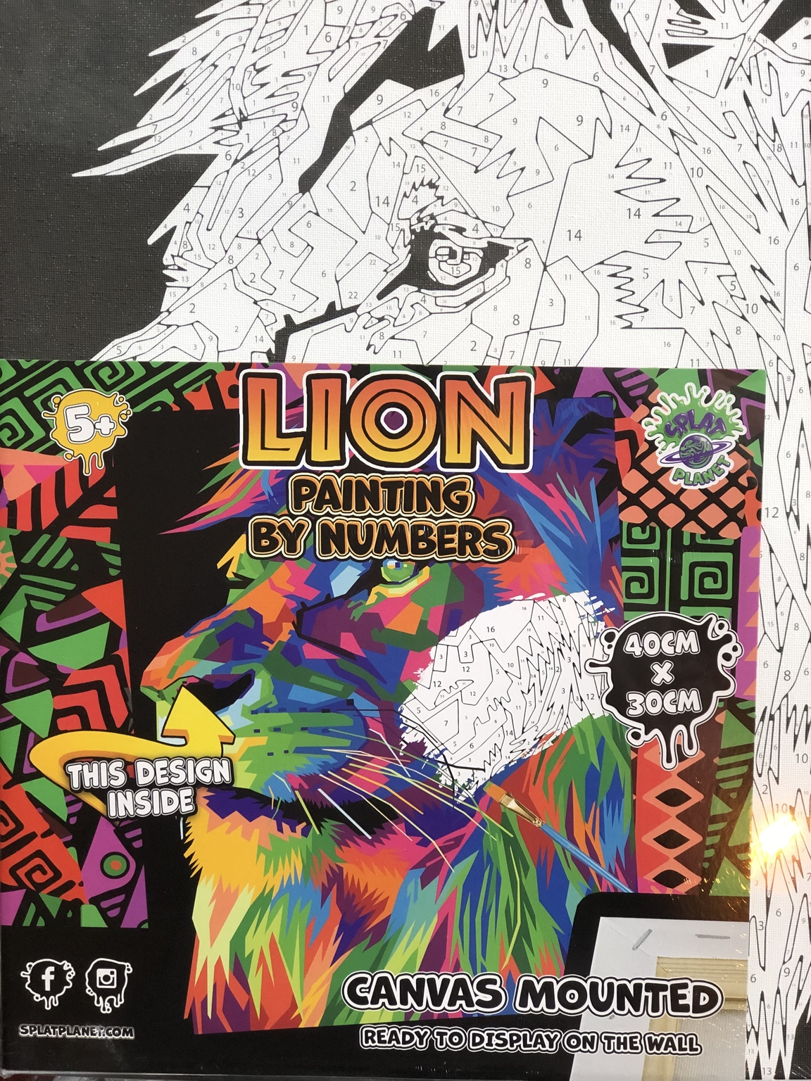 Lion Paint by Numbers - D and M Garden Centre