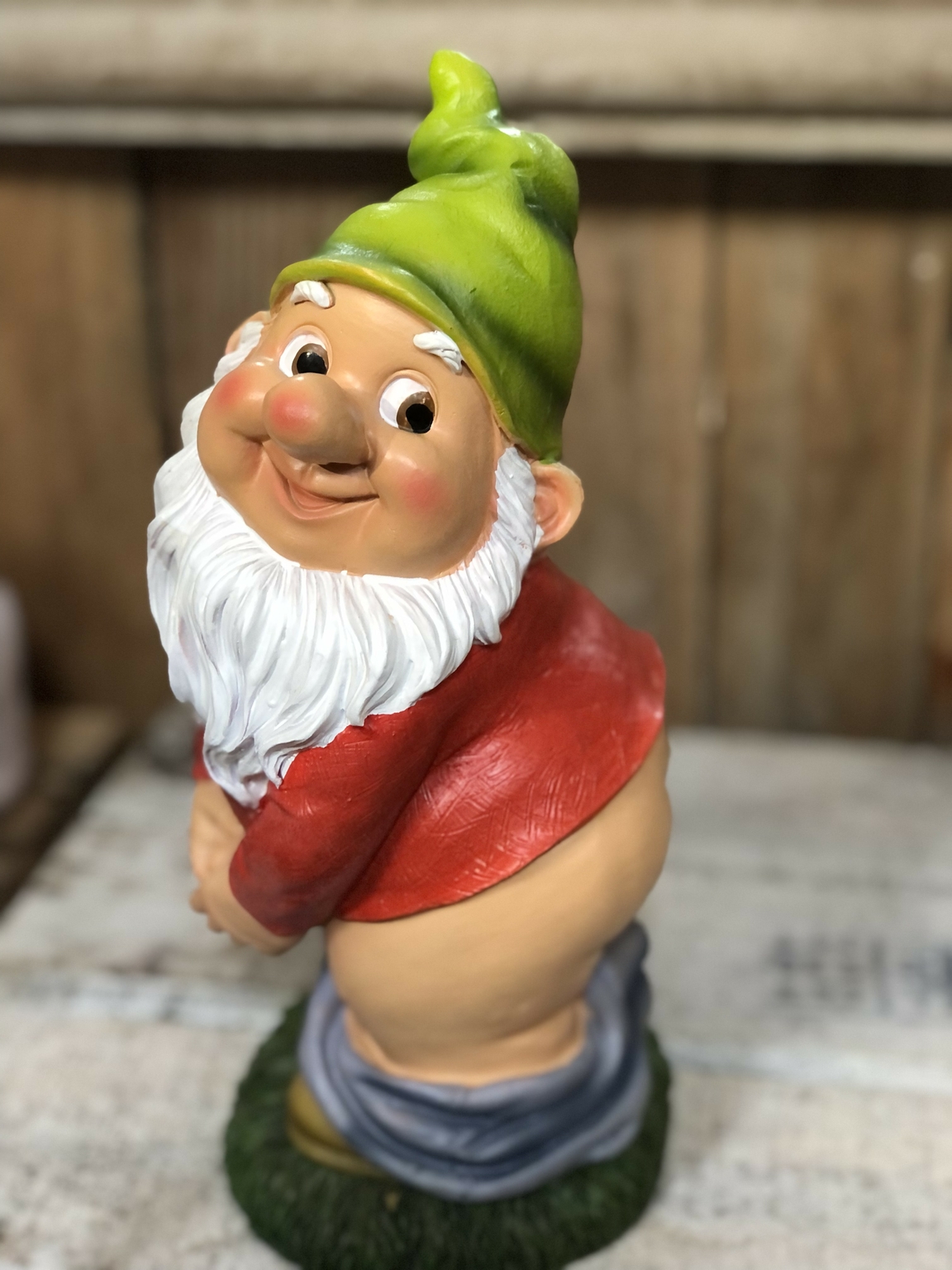 Naughty Gnome - D and M Garden Centre