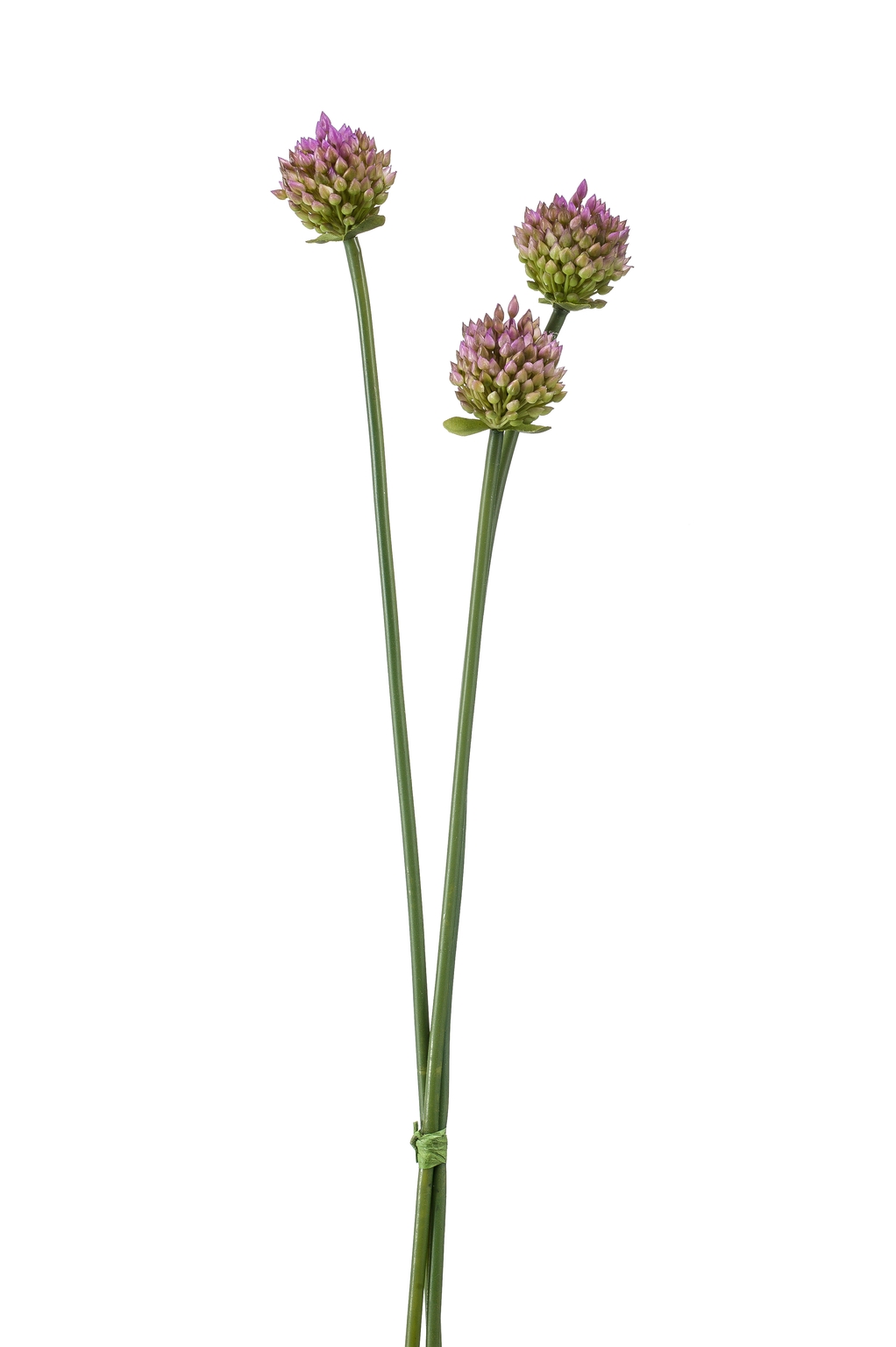 Onion bundle x3 purple 66cm - D and M Garden Centre