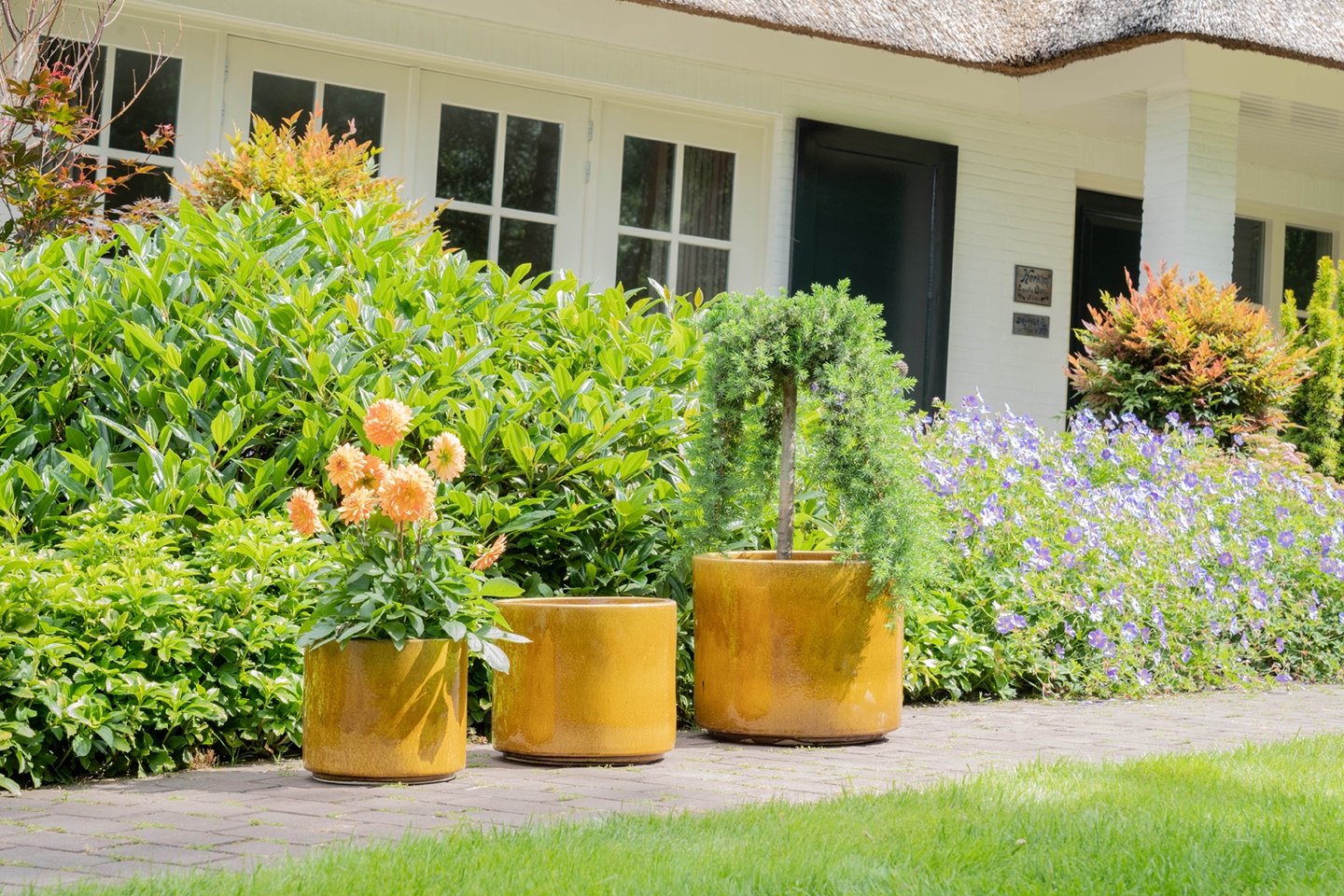 Pot Carmen honey D24 H23 - D and M Garden Centre