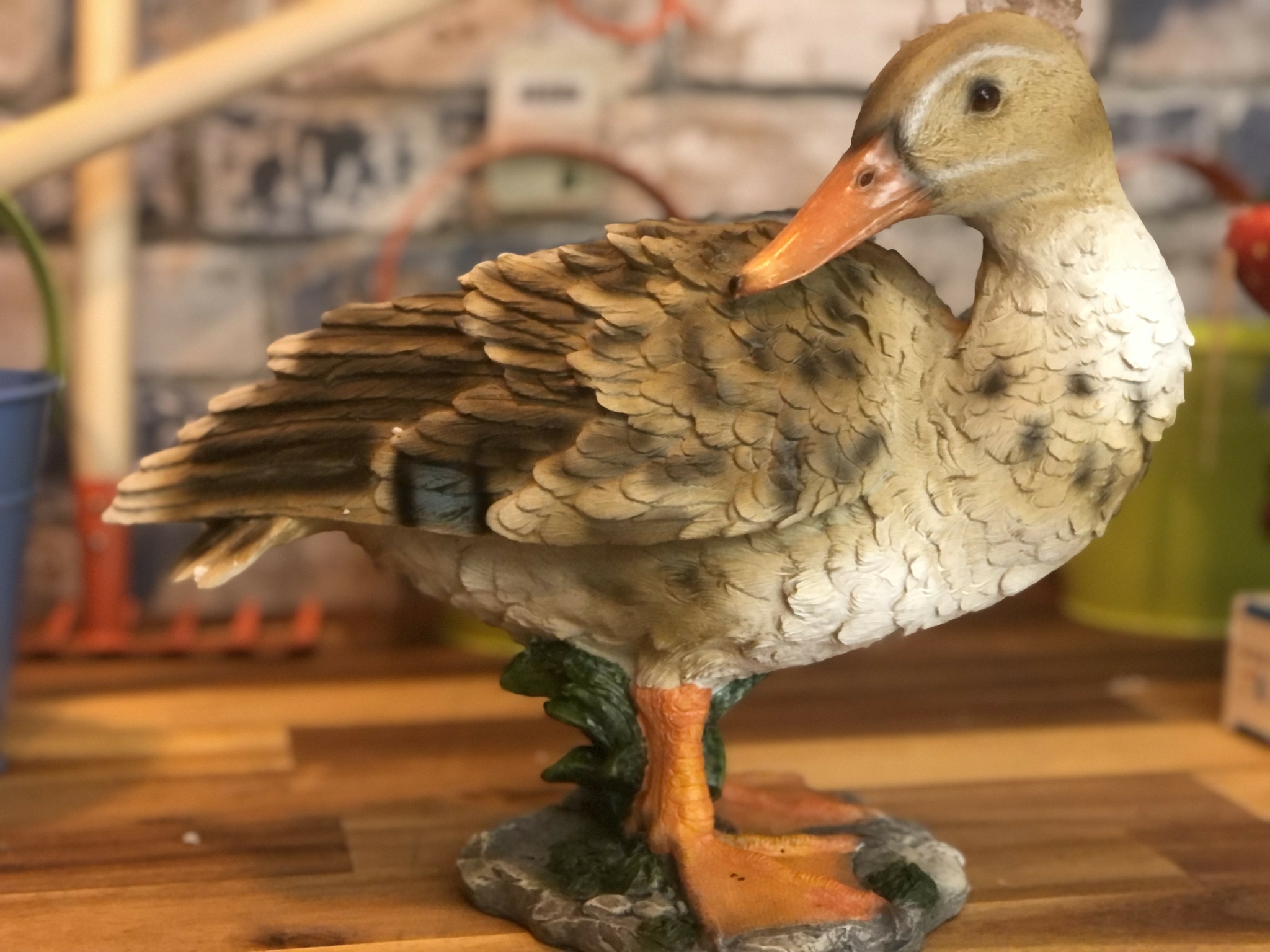 Preening Duck - D and M Garden Centre