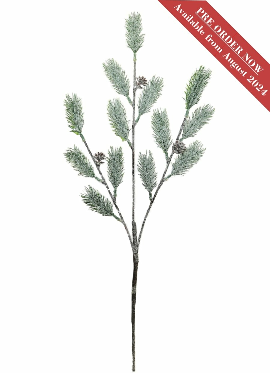 XMAS FROSTED PINE SPRAY - D and M Garden Centre